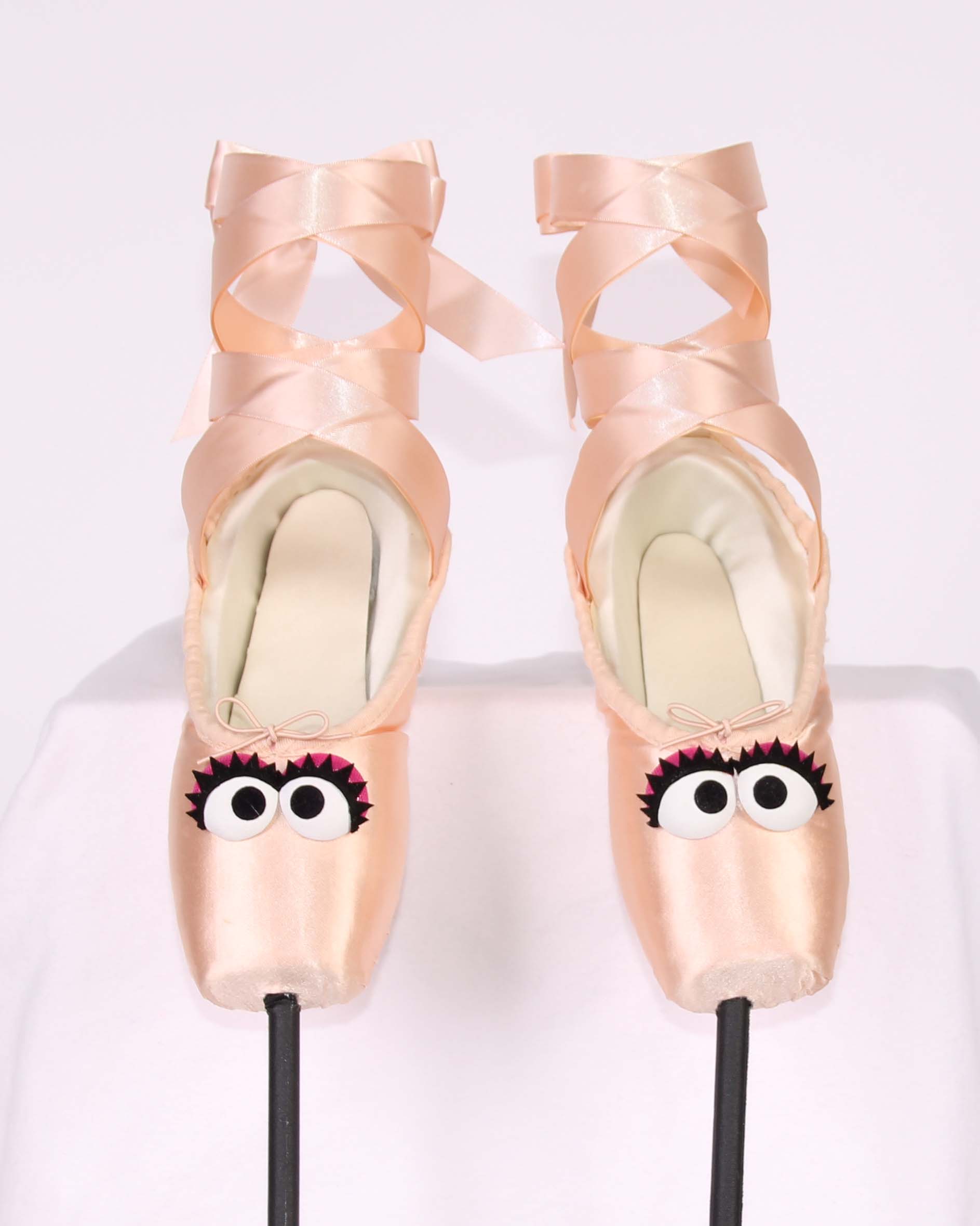 Sesame Street The Musical – The Art of Tifa Chii